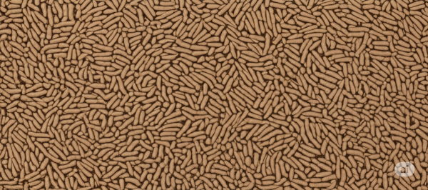 What Does Squirrel Poop Look Like? (Photo Guide) | Squirrelsinfo